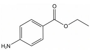 What is Benzocaine and How it Cures Premature Ejaculation